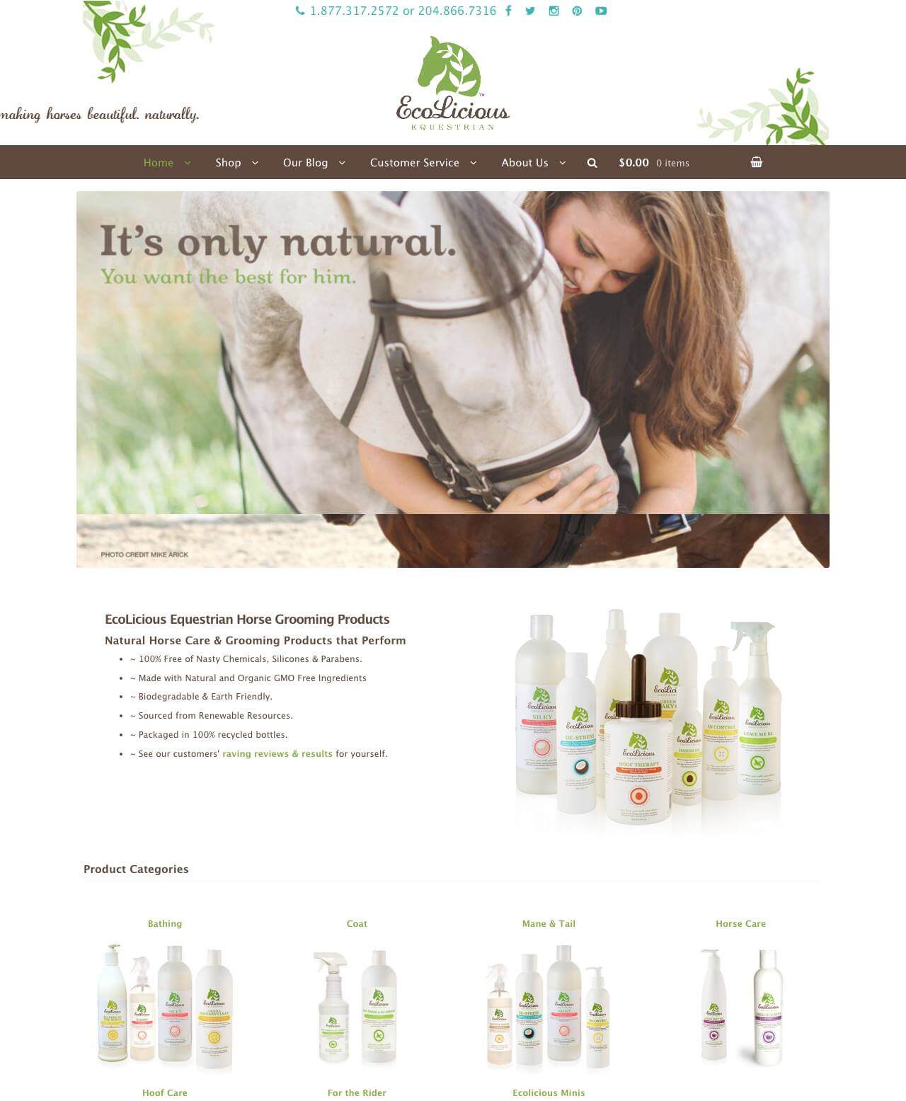 50 WooCommerce Storefront Theme website examples to inspire you ...