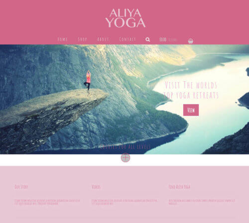 50 WooCommerce Storefront Theme website examples to inspire you ...