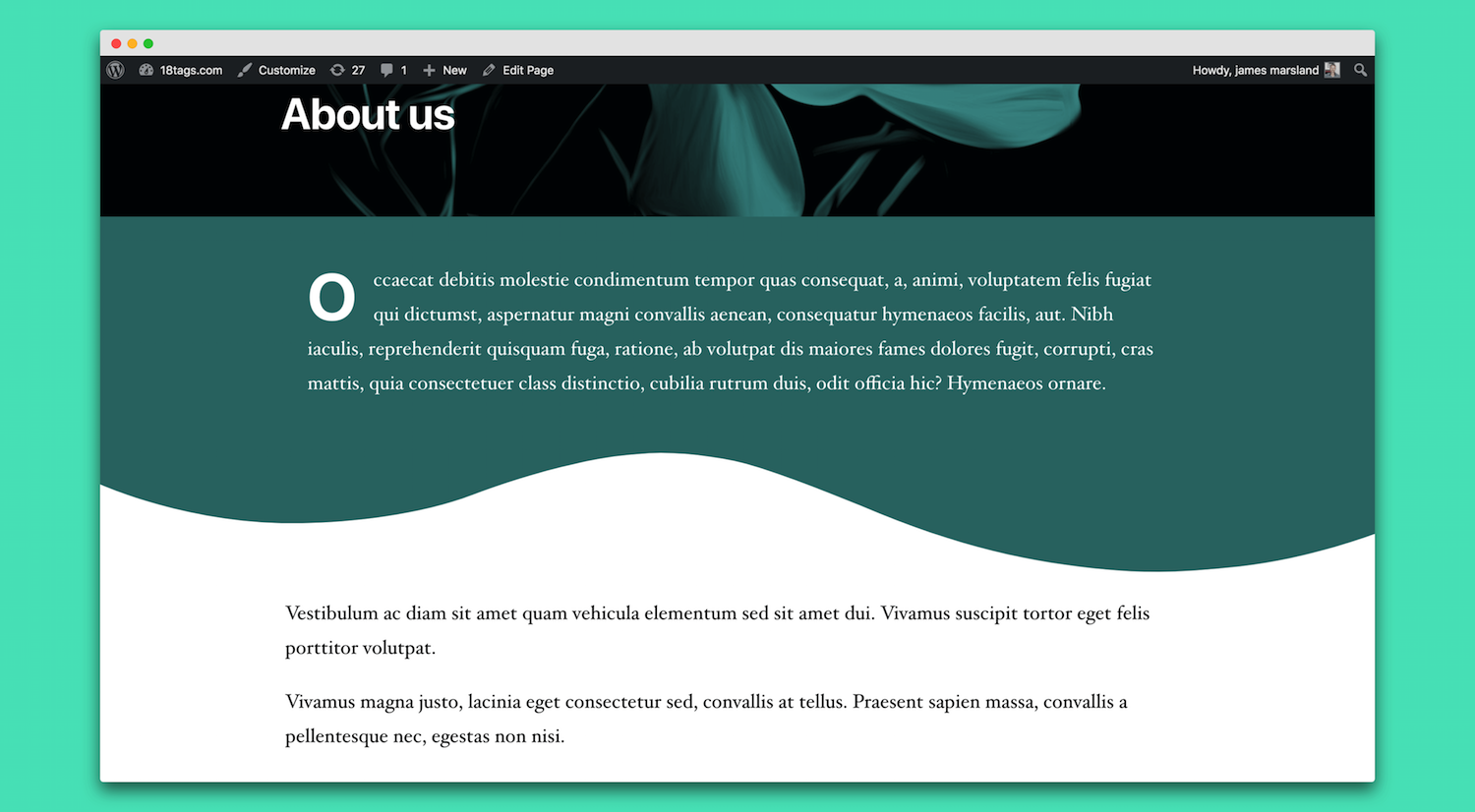 5 tips, tricks and css tweaks to easily customize the WordPress 2019 Theme